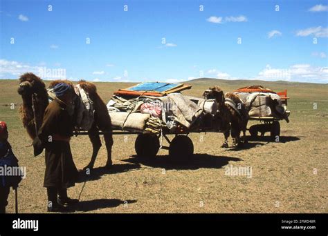 Mongolian Steppe Nomads