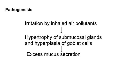 Bronchitis Pneumonia Pathology Nursing Pptx