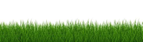 Green Grass Border Template Royalty Free Vector Image