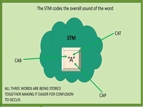 Research Into Coding Of Memory Lesson 3 Aqa Psychology Powerpoint Teaching Resources