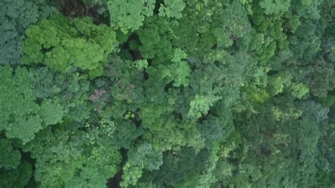 Ngong River Stock Video Footage 4k And Hd Video Clips Shutterstock