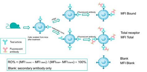Pk Pd Biocytogen