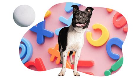 The Power Of The Bite Sized Method In Online Learning Vedamo