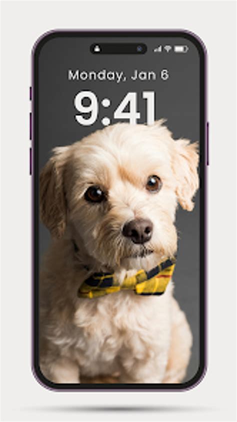 Android 용 Hyper Panorama 다운로드