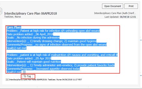 Interdisciplinary Care Plan