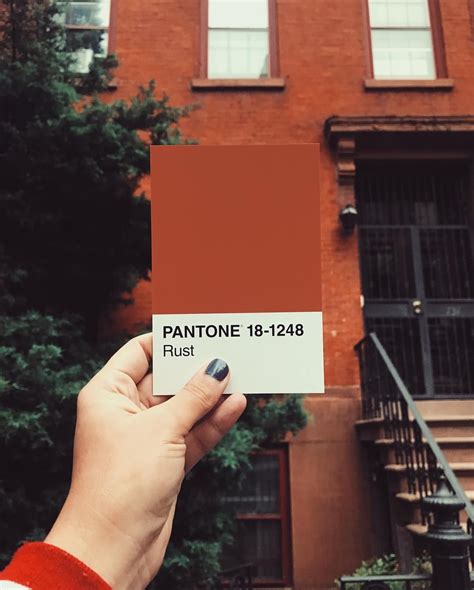 Pantone 18 1248 Rust Nyc Newyorkcolor Pantoneproject Pantone