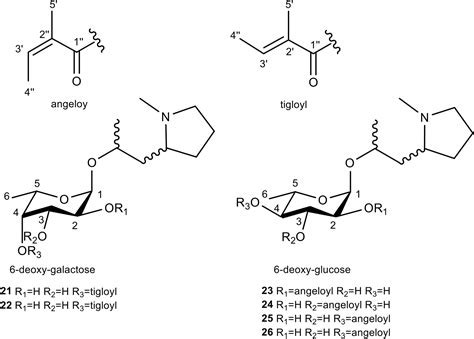 Fig 6 In Hygroline Derivatives From Schizanthus Tricolor And Their