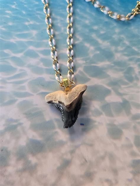 Extinct Snaggletooth Shark Tooth Necklace Etsy