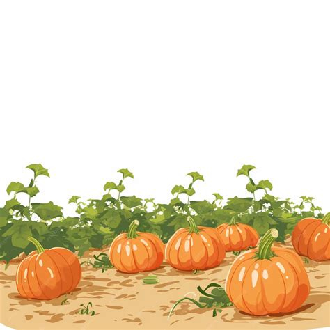 Premium Vector Pumpkin Patch 2