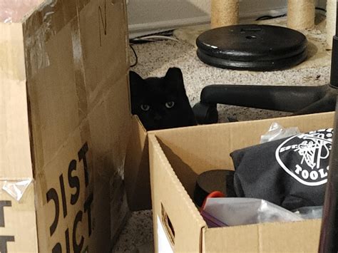 She Thinks Shes Sneaky R Aww