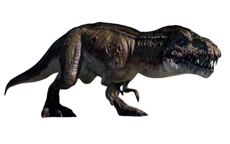 Mama Scarface By Dracoawesomeness On Deviantart