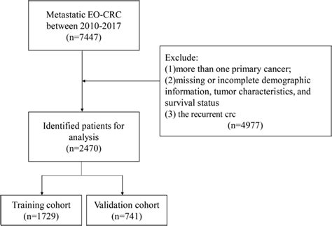 The Flowchart Of Including And Dividing Patients Download Scientific