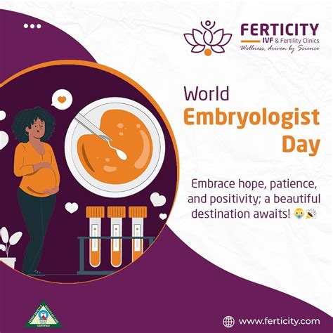Ferticity Ivf And Fertility Clinics Best Ivf And Fertility Centre In