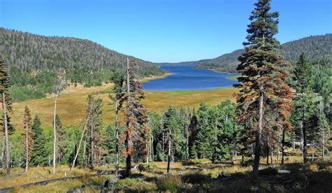 Dixie National Forest