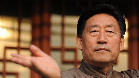 Chen Xiaowang Wcta Br World Chen Xiaowang Taijiquan Association Brasil