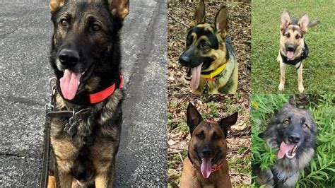 Sartopo Class Reno Volunteer Fire Department February 18 2024