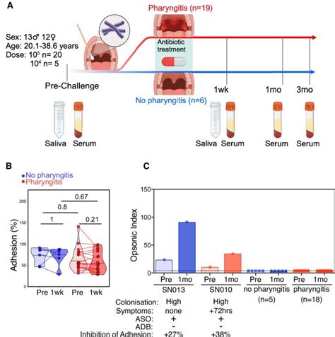 Michelson Medical Research Foundation On Linkedin Streptococcus Pyogenes Pharyngitis Elicits