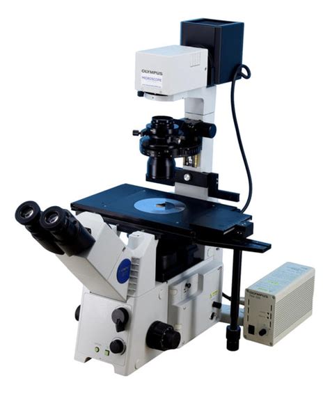 Olympus Ix71 Relief Contrast Hoffman Modulation Inverted Microscope Microscope Central