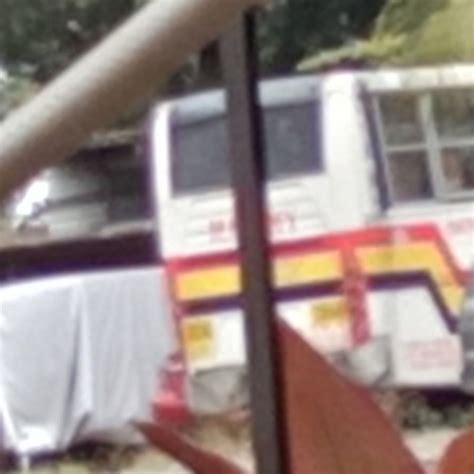 Uno Who Likes Buses Youtube