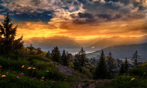 Trees Landscape Hd Wallpapers At Loretta Cyr Blog