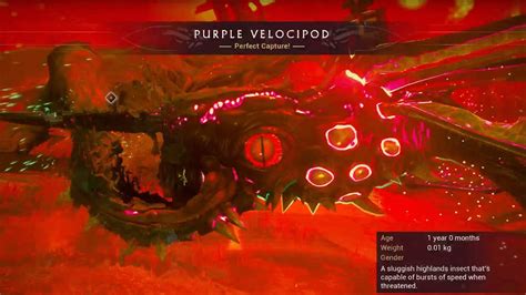 Warframe Purple Velocipod Spawn Locations Youtube