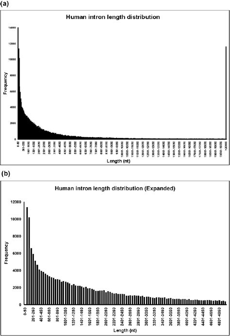 A Frequency Of Intron Length Distributions For Human Genome A And Download Scientific