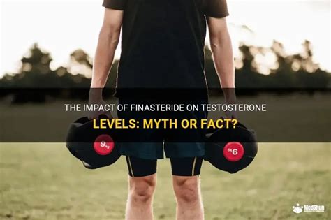 The Impact Of Finasteride On Testosterone Levels Myth Or Fact Medshun
