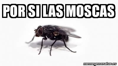 Meme Personalizado Por Si Las Moscas 33492771
