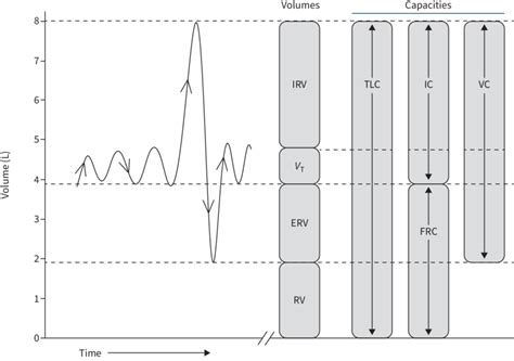 Static Lung Volumes And Capacities Based On A Volume Time Spirogram Of Download Scientific