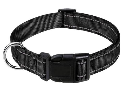 What Size Collar For Cockapoo Puppy At Veronica Green Blog