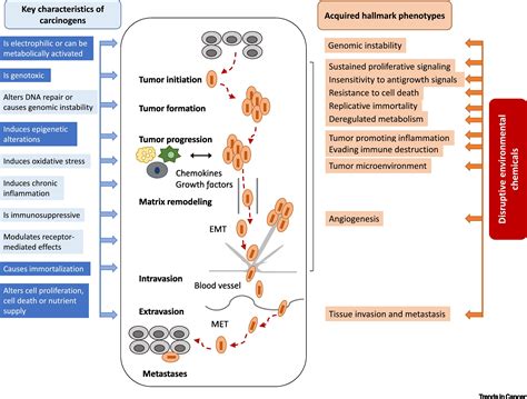 Carcinogen Examples
