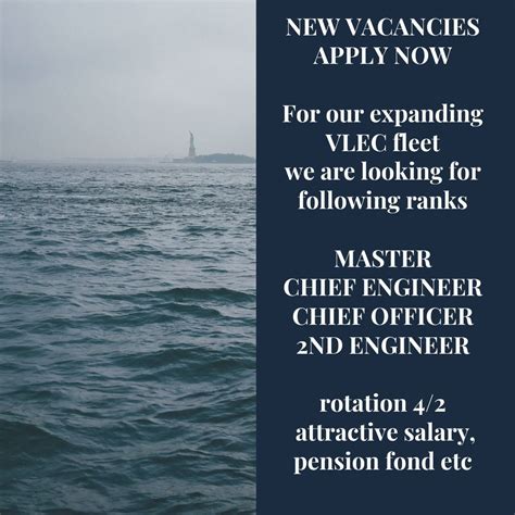 Applynow Vlec Dijana Tomasovic