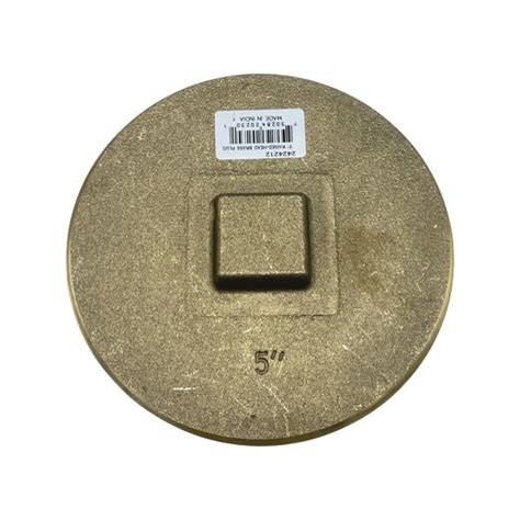 5 Raised Head Brass Cleanout Plug Southern Code Wal Rich Corporation