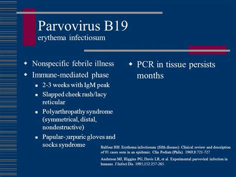 Reticular Rash Fifth Disease