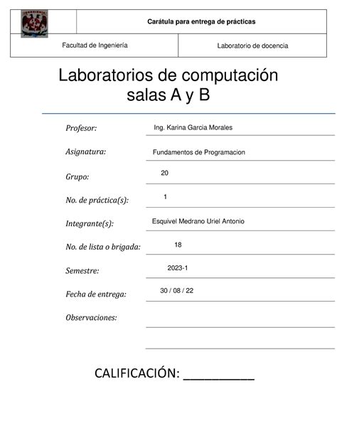 Practica Programacion 1 Laboratorios De Computación Salas A Y B Profesor Asignatura Grupo