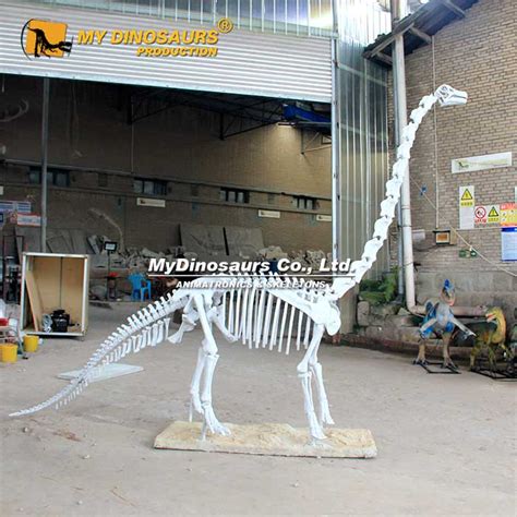 Unpainted Customized Dinosaur Skeleton Replica Mydinosaurs