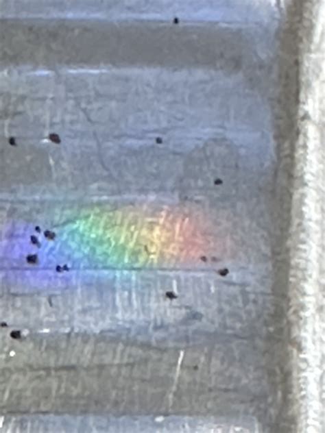 Prism Album On Imgur