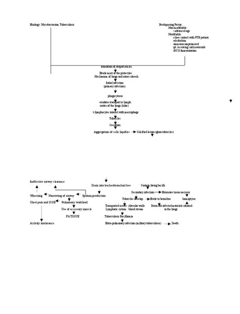 Pathophysiology Tb
