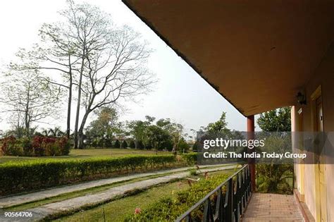 Chalsa Photos And Premium High Res Pictures Getty Images