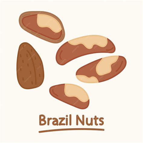 Premium Vector Hand Drawn Brazil Nuts Set Cartoon Design Food Nut