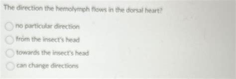 Solved The Direction The Hemolymph Flows In The Dorsal