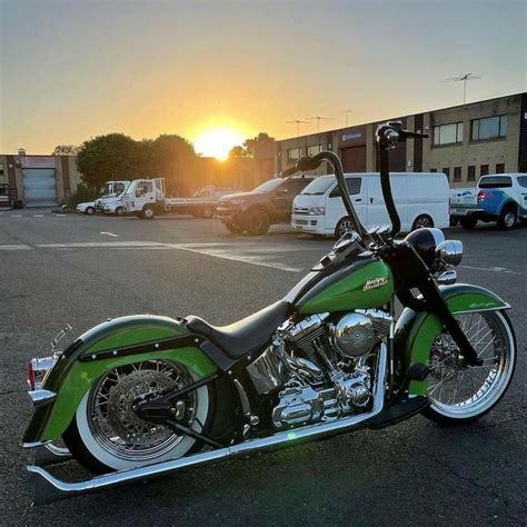 Cholo Vicla Softail Harley Softail Deluxe
