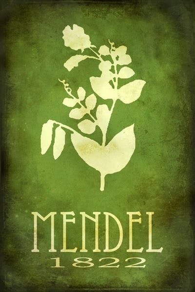 Pin By Brittany Ann On Decor Science Poster Science Art Genetics T