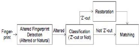Figure 1 From Automatic Identification And Detection Of Altered Fingerprints Semantic Scholar