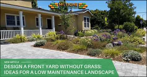 Front Yard Without Grass Design Ideas Low Maintenance And Cost Effective
