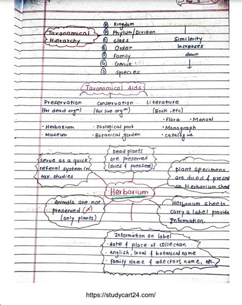Complete Class 11 Biology Handwritten Notes Pdf In English Free