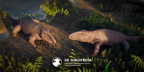 Ophiacodon 3d Dinopedia