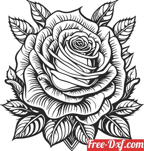 Download Rose Flower Art Dxf Wgwjw High Quality Free