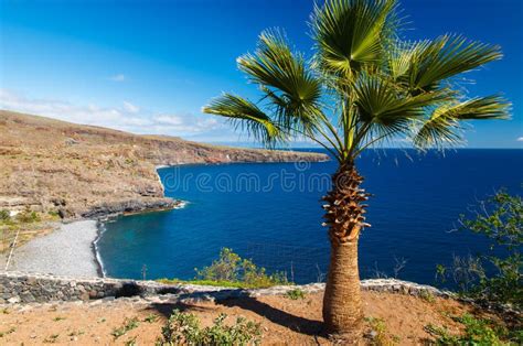 Tropical Landscape Of La Gomera Island Stock Image Image Of Canary