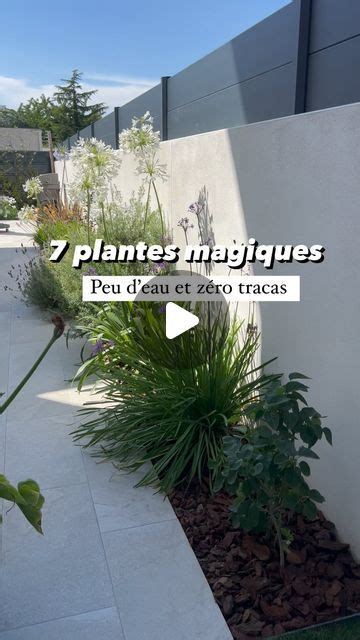 Doriane Cassar On Instagram 🌿 Le Choix De Mes Plantes Dans Ma Jardinière Intégrée à La